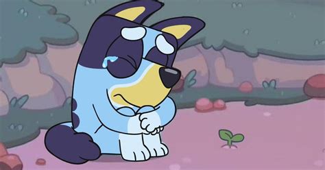 Sad Bluey Blank Template Imgflip