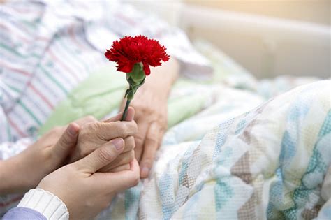 할머니 손녀 손 카네이션 유토이미지 상세페이지 베이직샵 사진 22370821