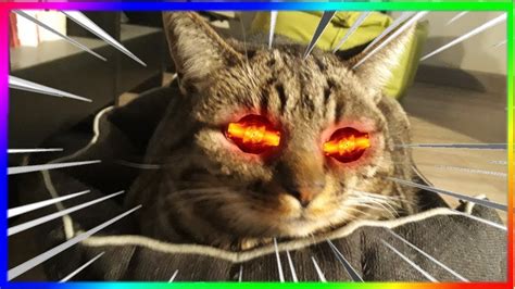 Laisse Moi Tranquille Ivan Et Tictac 74 S2 Youtube