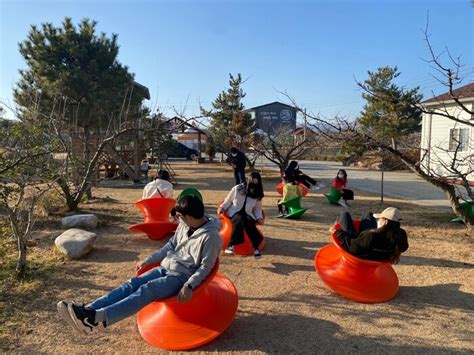 농촌관광시설 하절기 집중안전점검 시행 식약일보 KFDN 식품과 의약 뉴스