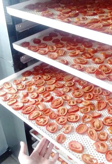 Купить лотки для сушильных камер, лотки сушки продуктов - Холод-Тепло