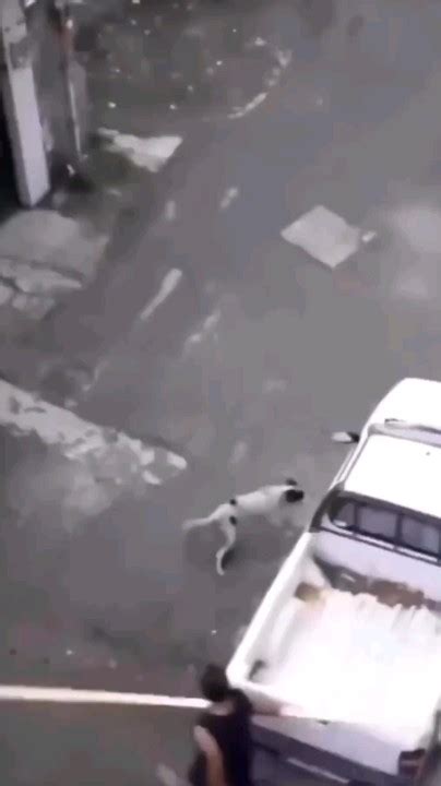 Erkan Uzun Posted On Linkedin