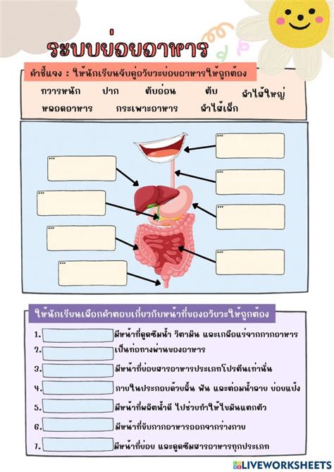 ระบบย่อยอาหาร ป 6 Activity