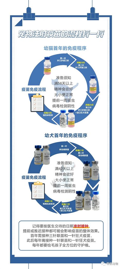 新宠到家铲屎官必备疫苗全手册日粮维宠宠物导航网