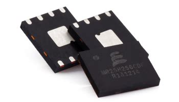 Everspin Xspi Stt Mram Sram Mram Psram Vti Netsol Jsc