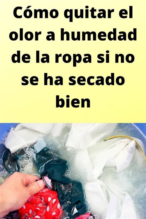 Cómo eliminar el olor a humedad de la ropa cuando no se ha secado