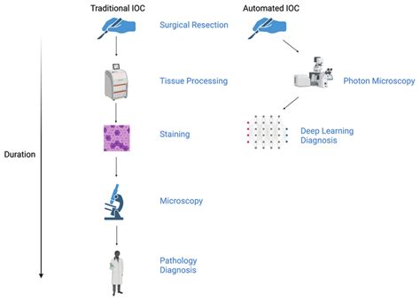 Intraoperative Consultation Pipeline For Histological Diagnosis In