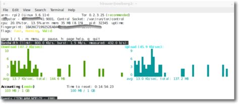 Ein Tor Relay Node Auf Raspberry Pi Installieren