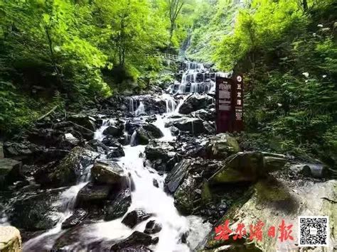 4月30日凤凰山开园 澎湃号媒体 澎湃新闻 The Paper