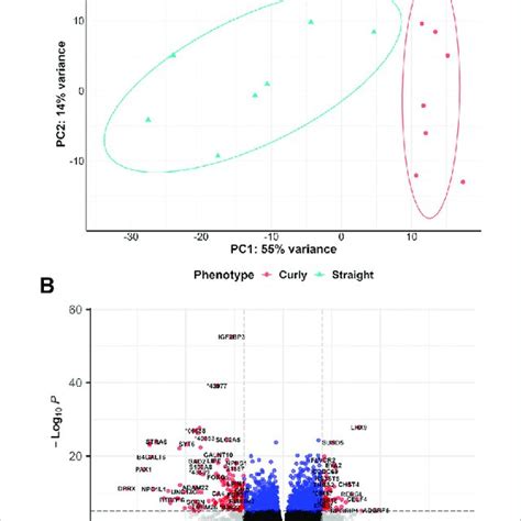 Overview Of Differential Gene Expression Analyses In Five Different Download Scientific Diagram