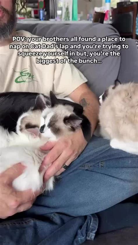 Poppys Brothers All Got A Place On Dads Lap And She Wanted To Be A