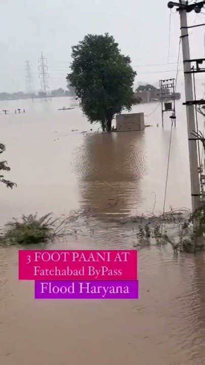 Flood Haryana Fatehabad New Youtube