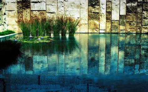Water Reflection Plants Wallpapers Hd Desktop And Mobile Backgrounds