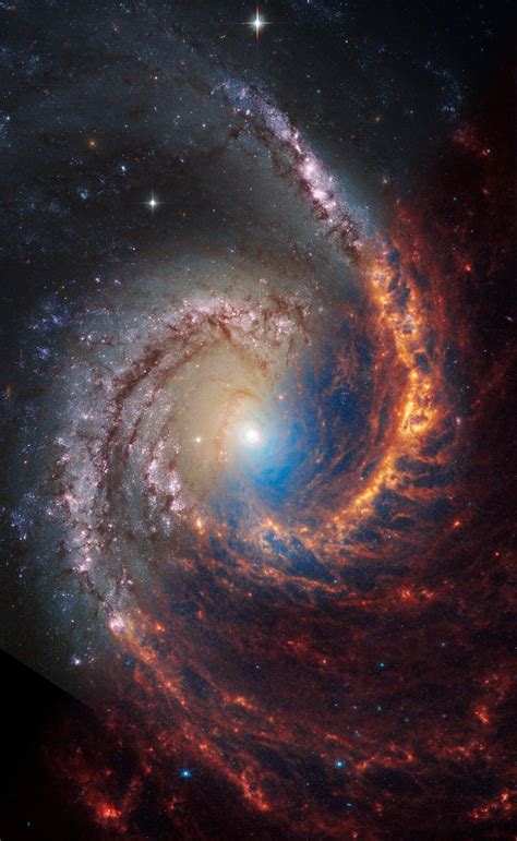 スパニッシュダンサー 渦巻銀河「ngc 1566」 ウェッブとハッブルで観測