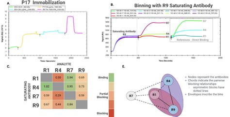 Epitope Binning With SPR For Antibody Drug Discovery