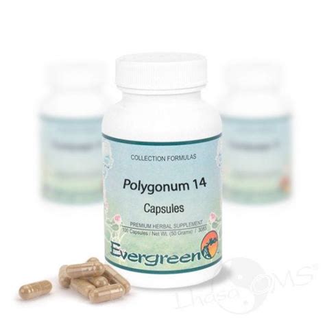 Evergreen Herbs Polygonum 14 Lhasa Oms