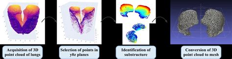 pulmonary substructure segmentation and polygon mesh reconstruction