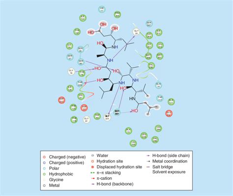 The 2d Ligand Interaction Map Showing Inter And Intramolecular Forces