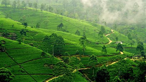 Sri Lanka Wallpapers Wallpaper Cave