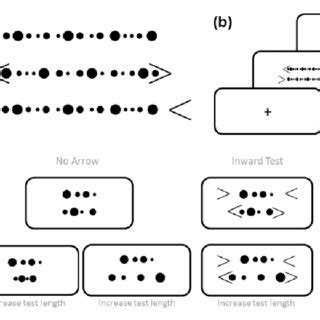 A Examples Of Arrays With The Same Length And Composed Of 15 Dots Download Scientific Diagram