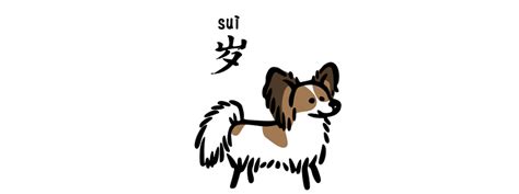 Chinese Age Expression Suì OneDotDot Chinese