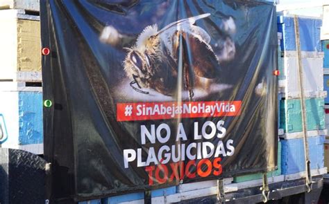 Federación Debe Regular Uso De Plaguicidas Están Causando La Muerte De