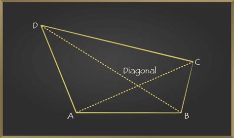 Quadrilateral Properties Definition Types Area Examples FAQs