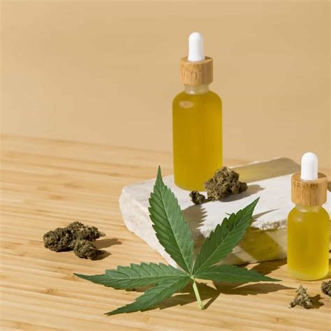Qué Son Los Cannabinoides 2023