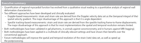 Strain Rate Imaging Fundamental Principles And Progress So Far