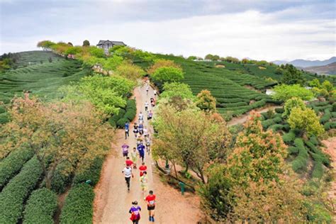 Runners Enjoy Cherry Blossoms In Fujian Zhangping Yongfu Intl Marathon 2