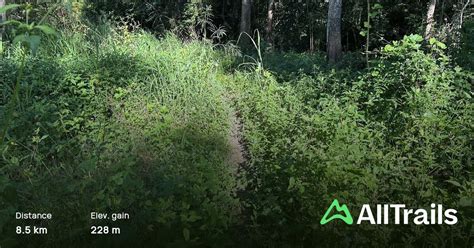 bower s break mini van northern break and policeman track 111 fotos queensland austrália