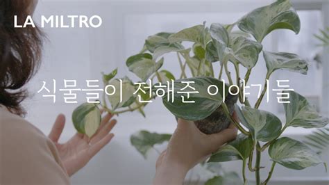 식물들이 전해준 이야기들 Youtube