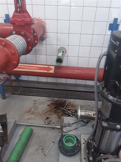 Installation Of A Strainer Elio3 Shop