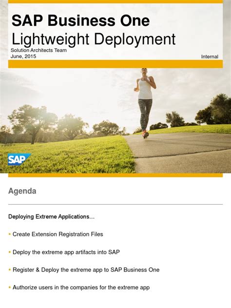 D 08 Lightweight Addon Deployment Pdf Application Programming