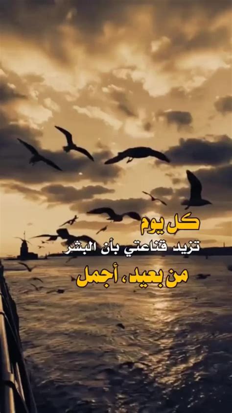 كل يوم Cool Words Words
