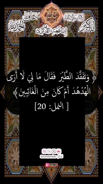 وتفقد الطّير فقال ما لي لا ارى الهدهد قرآن عبدالباسطعبدالصمد Quran Quotes سورة النمل