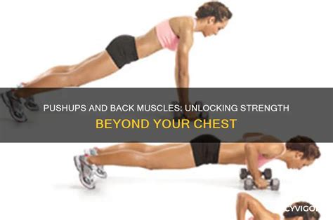 Pushups And Back Muscles Unlocking Strength Beyond Your Chest Cyvigor