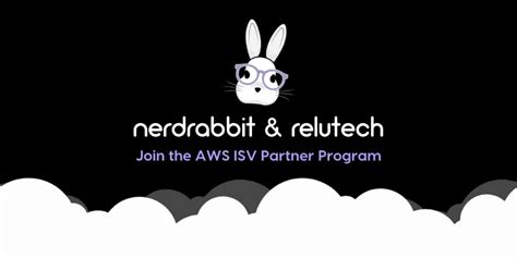 nerdrabbit joins the aws isv partner program