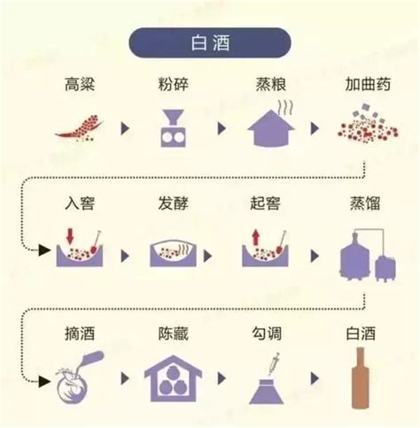 葡萄酒、白酒、威士忌、白蘭地的釀造過程 每日頭條