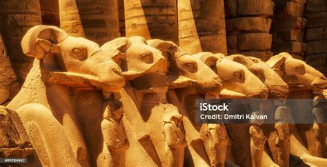 Avenue Of The Ram 헤드 Sphinxes Karnak 관자놀이 이집트 룩소르 건축에 대한 스톡 사진 및 기타 이미지