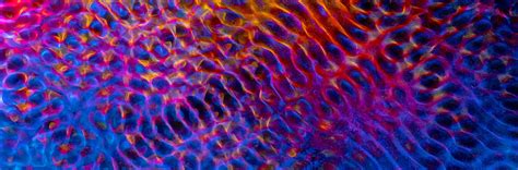 Hana Multitarget Your Automated Failover Clustering Solution Sios