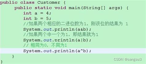 Java编程：运算符、操作数与变量解析 Csdn博客