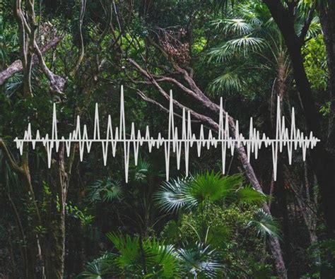 Biologist Daniele Silvestro Has Developed An Ai Tool That Can Help