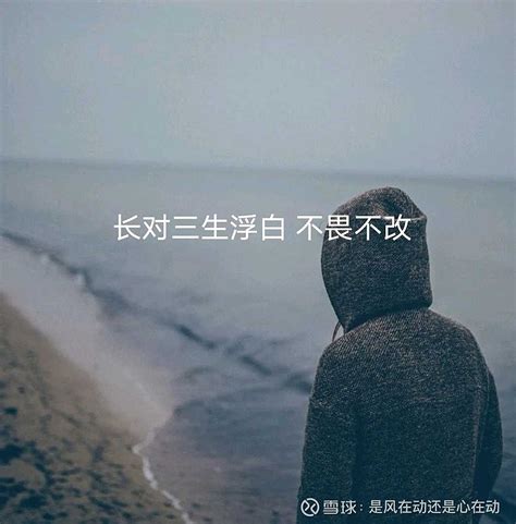 凌云寂 我原要昂扬独步天下奈何却忍辱藏于污泥我梦在叱咤风云却无奈苦候时机难道登峰造极途中遍是荆棘我本想淡泊退出江湖奈何却不甘枉此 雪球