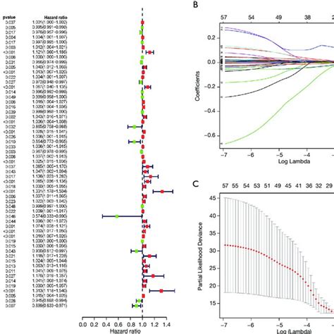 Construction Of Pi Model A 57 Irgs With Significant Prognostic