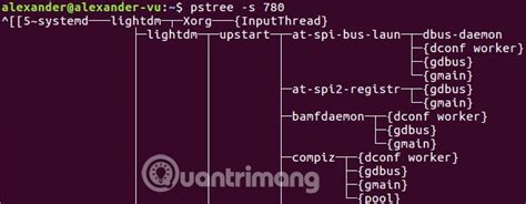 Instructions For Using Pstree Command On Linux