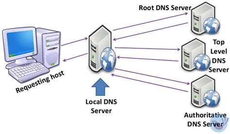 DNS là gì Tổng quan về DNS trong thế giới internet