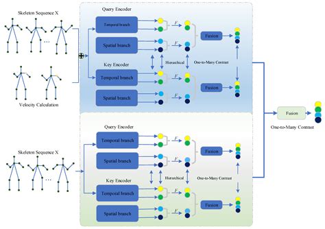 Otm Hc Enhanced Skeleton Based Action Representation Via One To Many Hierarchical Contrastive