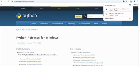 2025年最新版python安装教程 （图文非常详细） python最新版安装 csdn博客