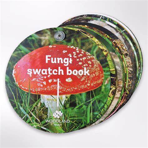 Mushroom Fungi Identification Swatch Book Woodland Trust Shop Woodland Trust Shop